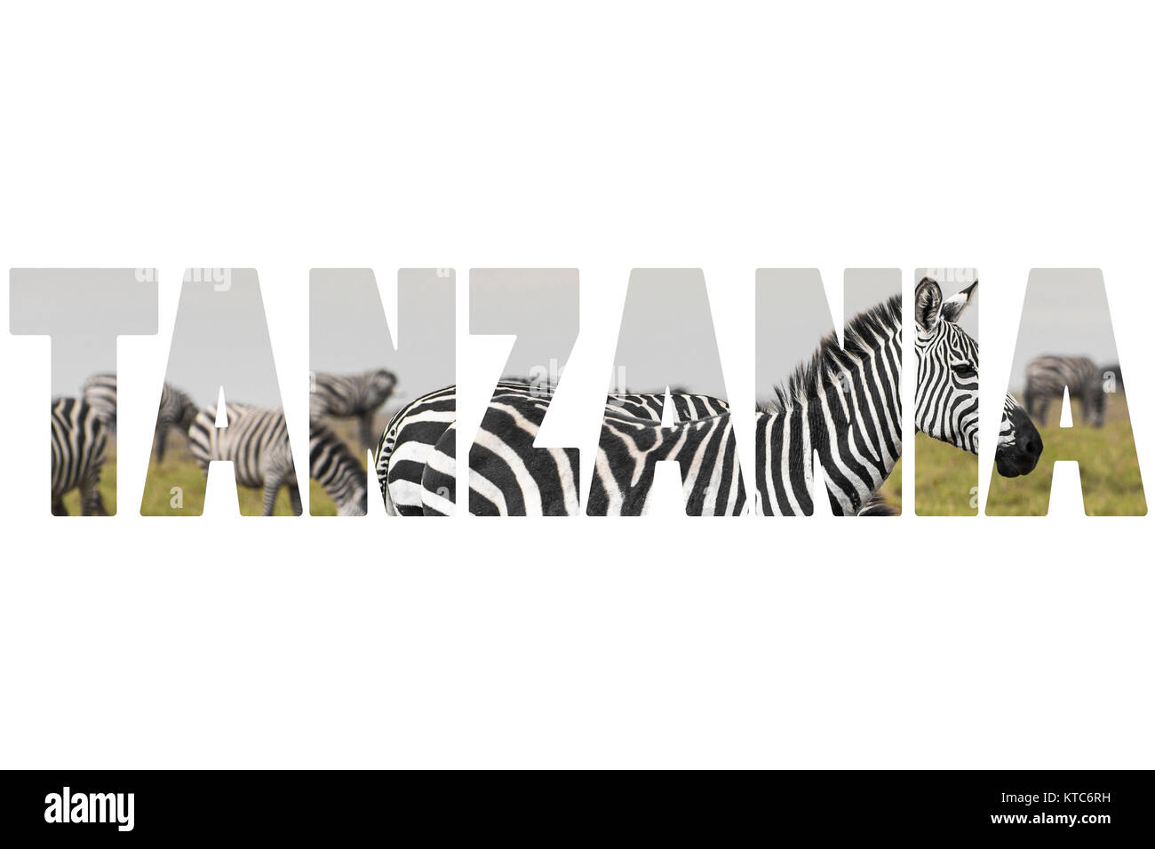 Tanzania wild animals Cut Out Stock Images & Pictures - Alamy