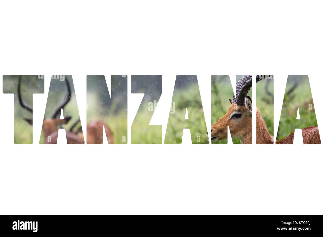 Word TANZANIA over wild animals Stock Photo - Alamy