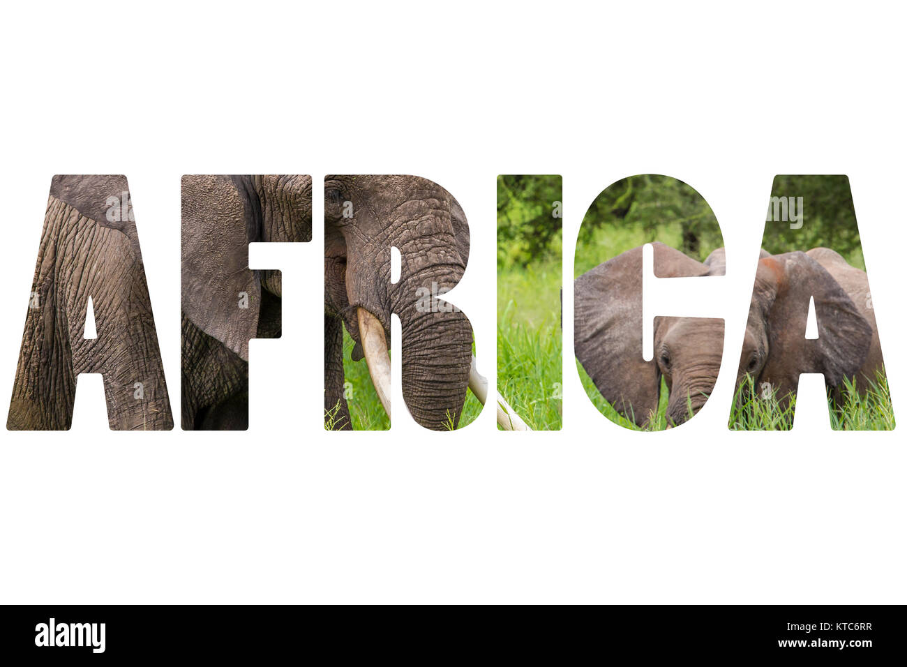 Bush animals Cut Out Stock Images & Pictures - Alamy