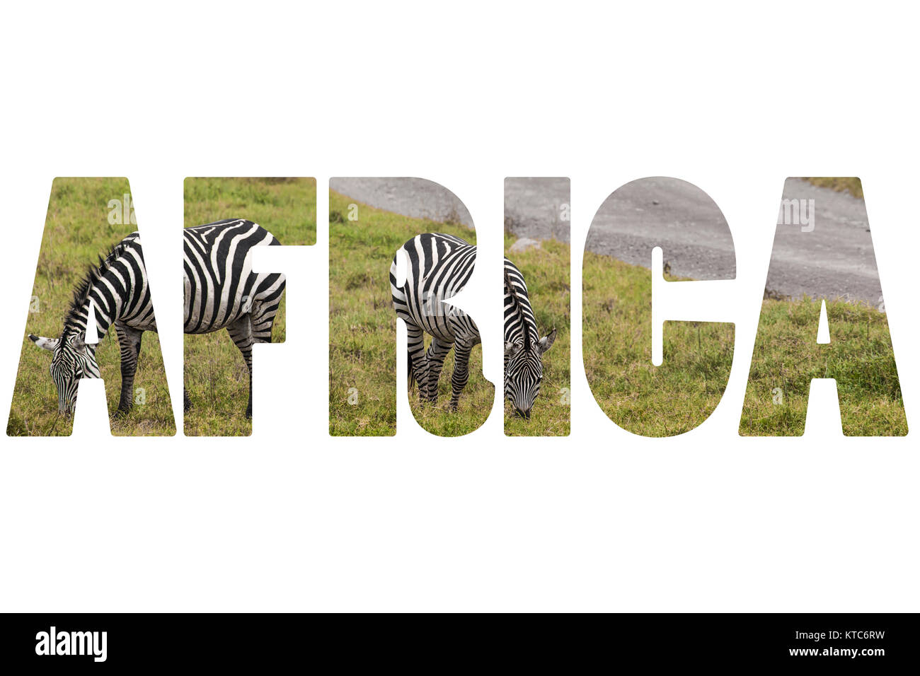 Bush animals Cut Out Stock Images & Pictures - Alamy