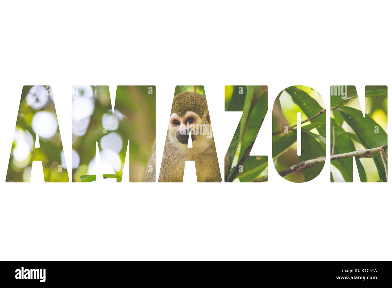 Word AMAZON over small monkey Stock Photo - Alamy