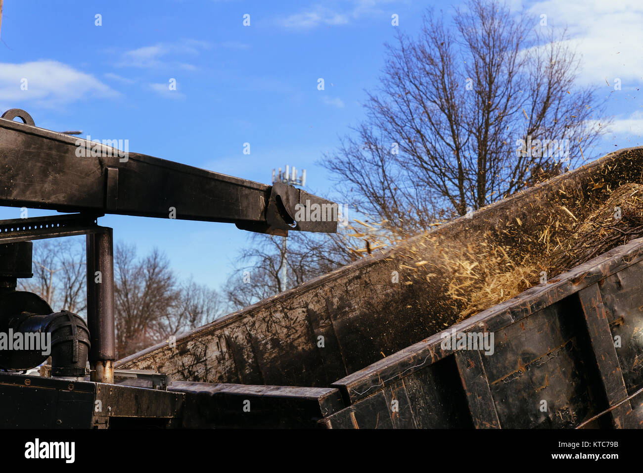 Landscapers using chipper machine to remove and haul chainsaw tree ...
