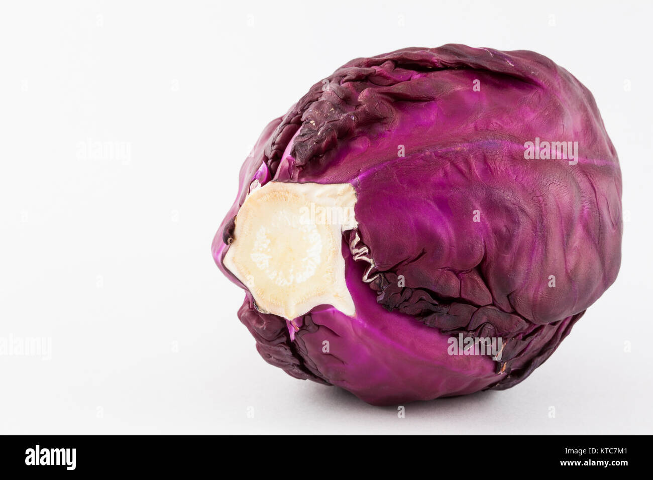 Red cabbage (Brassica oleracea Stock Photo - Alamy