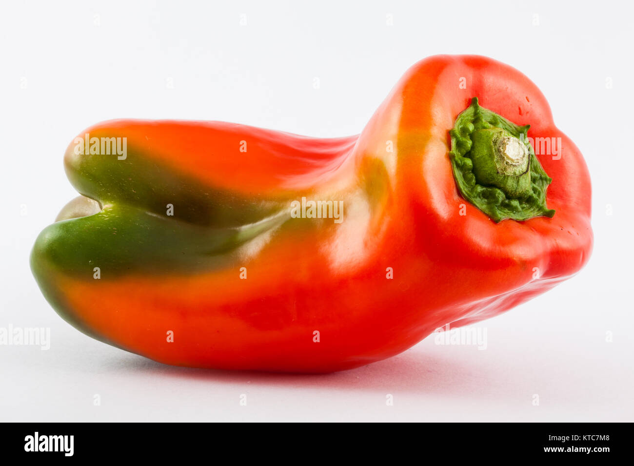 Bell pepper (Capsicum annuum Stock Photo - Alamy