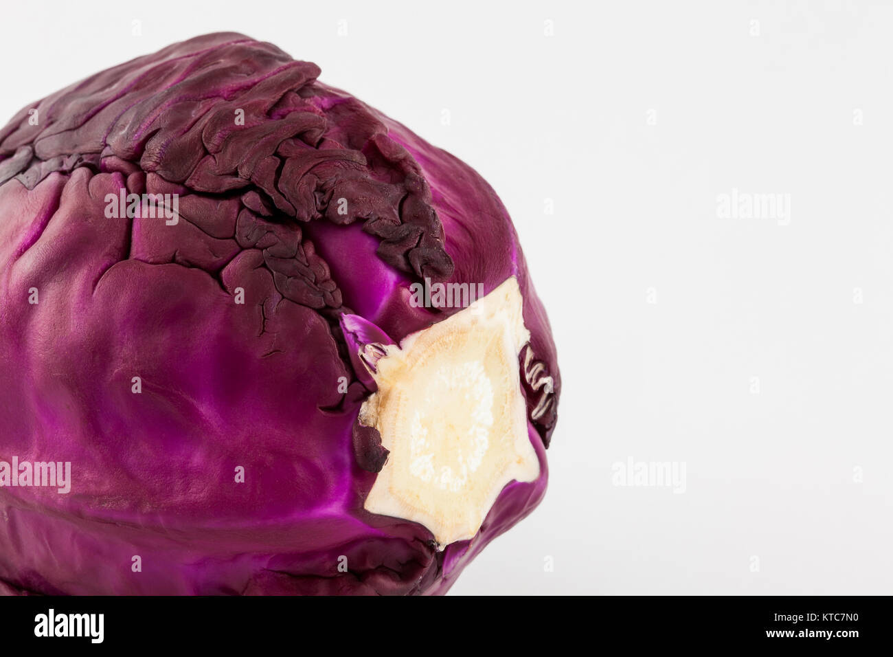 Red cabbage (Brassica oleracea Stock Photo - Alamy