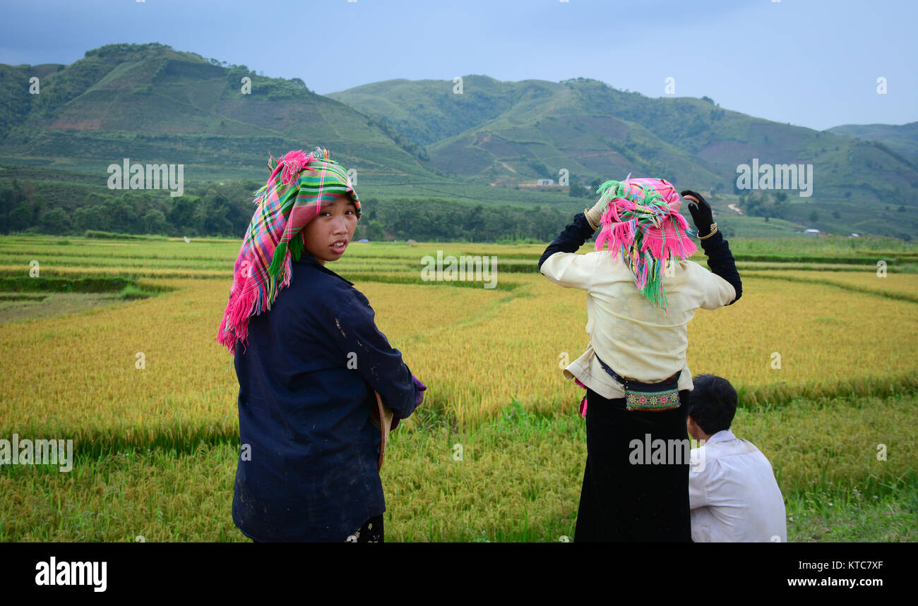 Sapa, Vietnam - May 29, 2016. Hmong women standing on field in Sapa ...