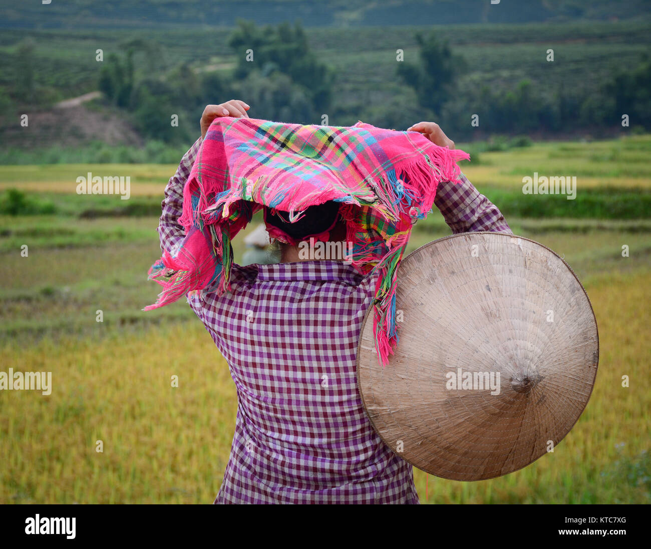A Hmong woman with a traditional hat on rice field in Sapa, Vietnam ...