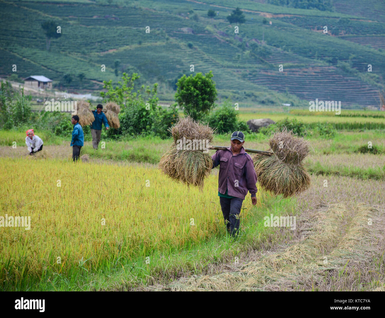Vietnamese farmers irrigation hi-res stock photography and images - Alamy