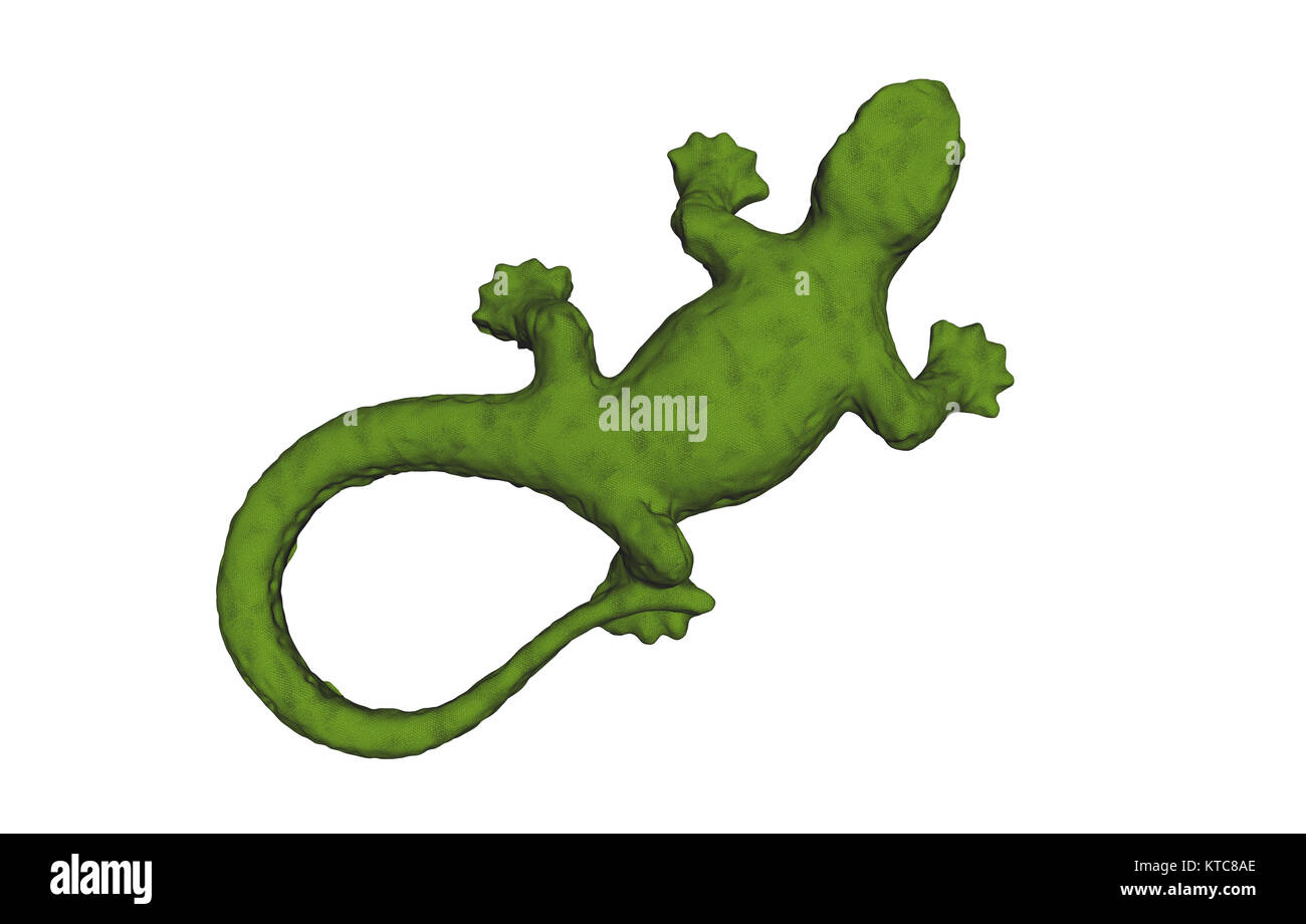 Reptiles amphibians Cut Out Stock Images & Pictures - Alamy