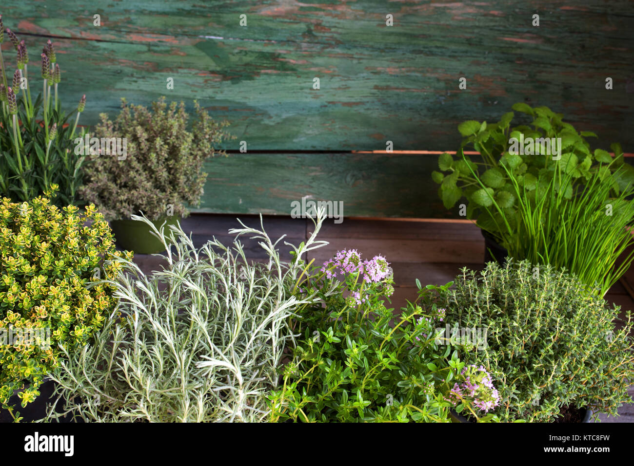 Fresh mediterranean spice herbs in front of rustic wooden wall Stock ...