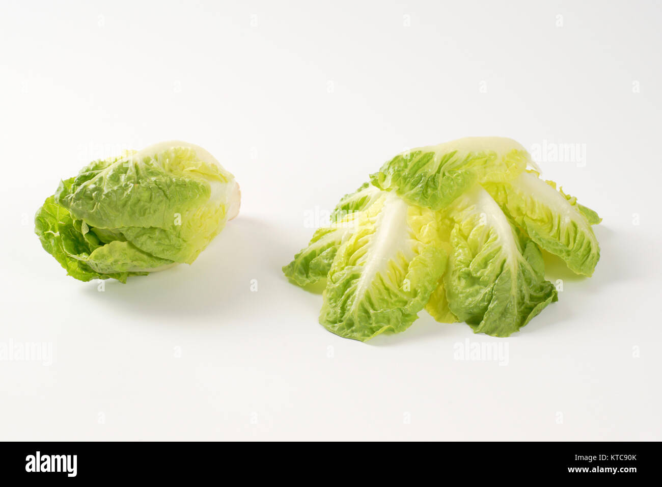 little gem lettuce Stock Photo - Alamy