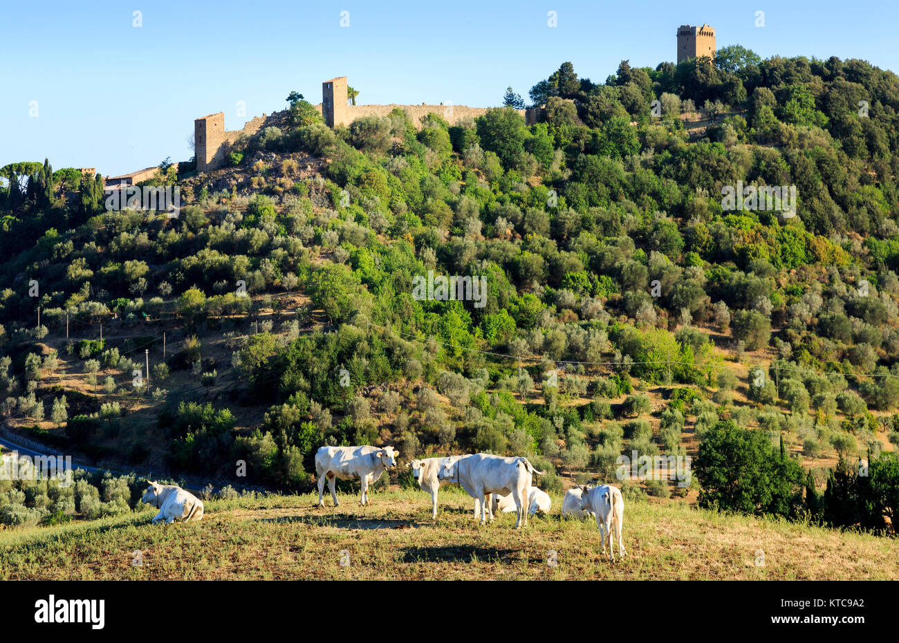 Monticchiello, Val D'Orcia, Tuscany, Italy Stock Photo - Alamy