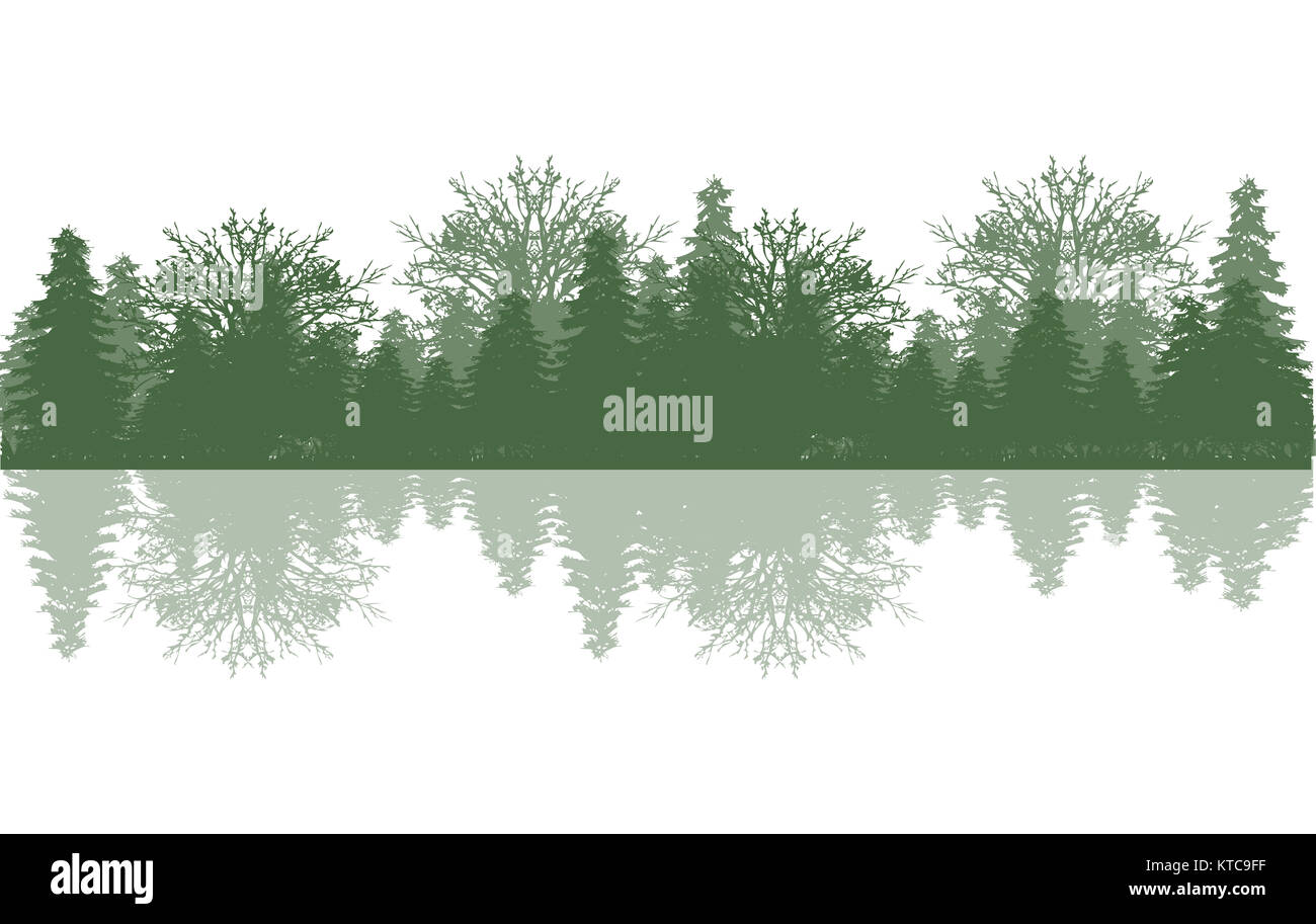 Reflection wood and tree Stock Photo - Alamy