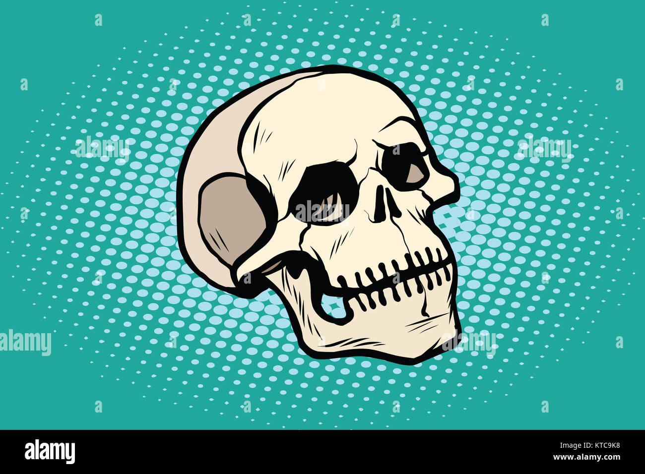 human skull head skeleton Stock Photo - Alamy