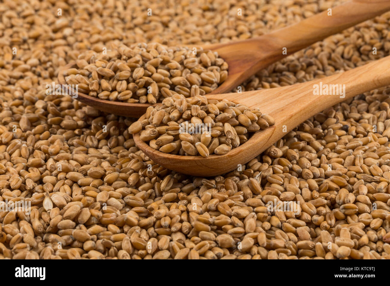 Wheat grain on white Stock Photo - Alamy