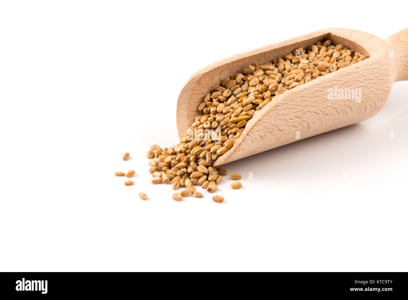 Wheat grain in scoop Stock Photo - Alamy