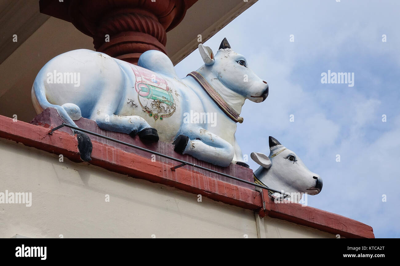 Sacred Hindu cow statue at the Sri Mariamman Temple in Singapore Stock ...