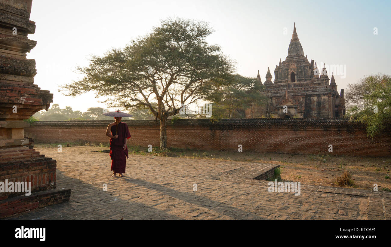 A Buddhist monk with red umbrella at the ancient temple Stock Photo - Alamy