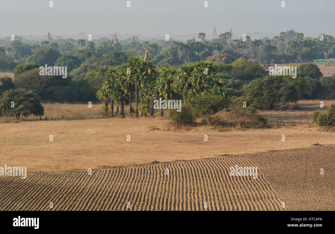 Empty field with the Buddhist temples in Bagan, Myanmar. Bagan is one ...