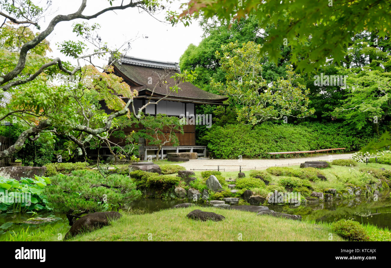 Beautiful green color hi-res stock photography and images - Alamy