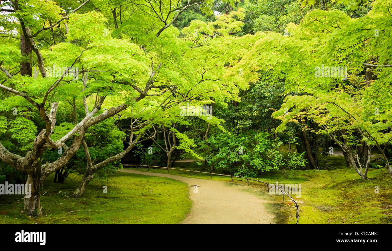 Graden design hi-res stock photography and images - Alamy