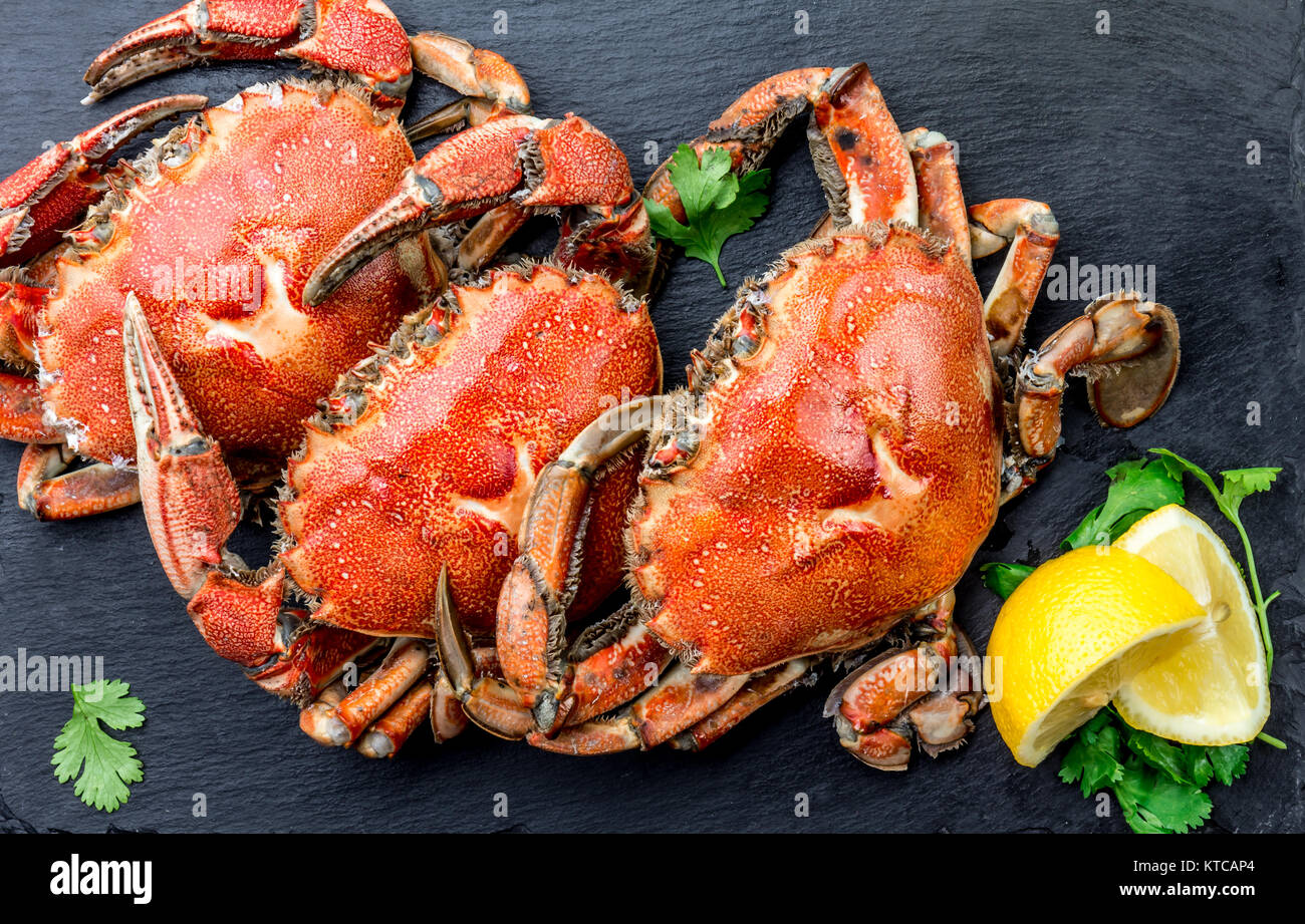 Cooked crabs on black plate served with white wine, black slate ...