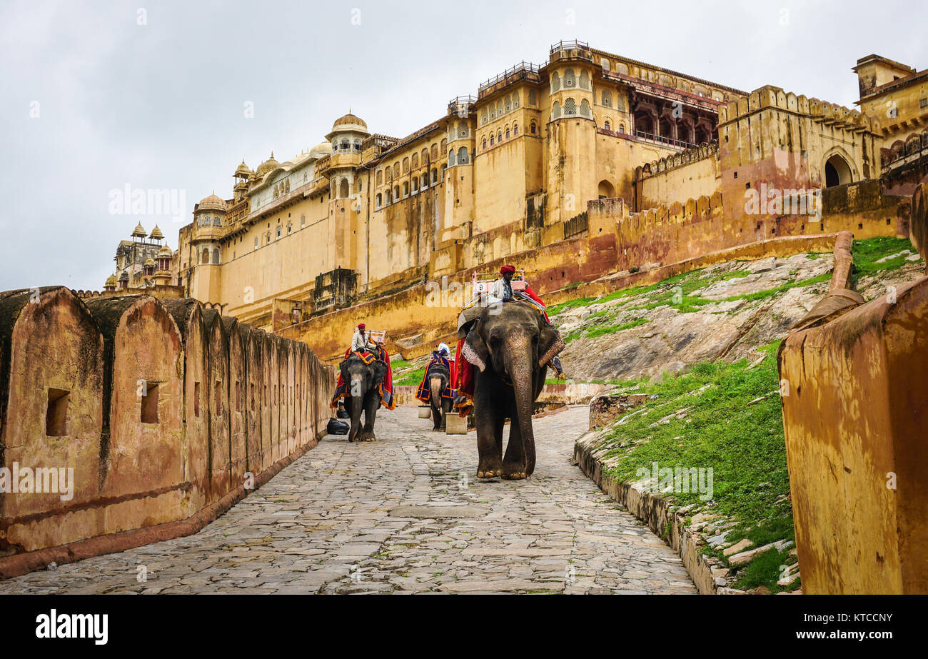 India man rides elephant hi-res stock photography and images - Alamy