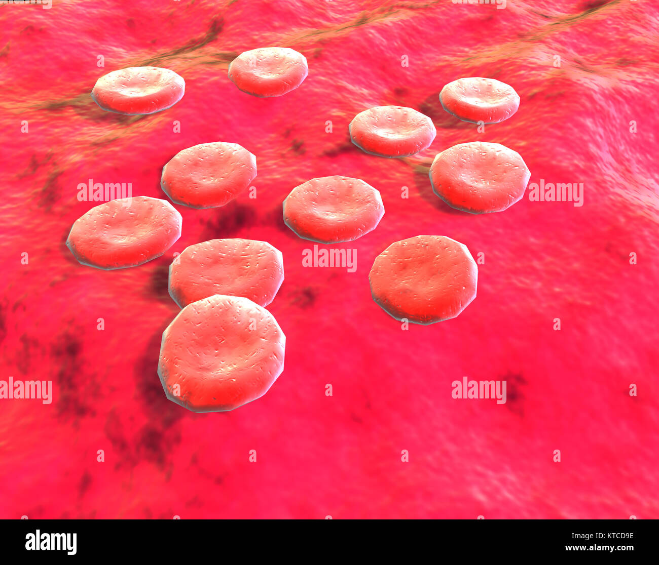 blood cells in vein Stock Photo - Alamy