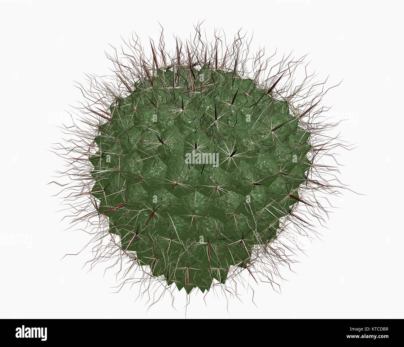 Sting released hi-res stock photography and images - Alamy