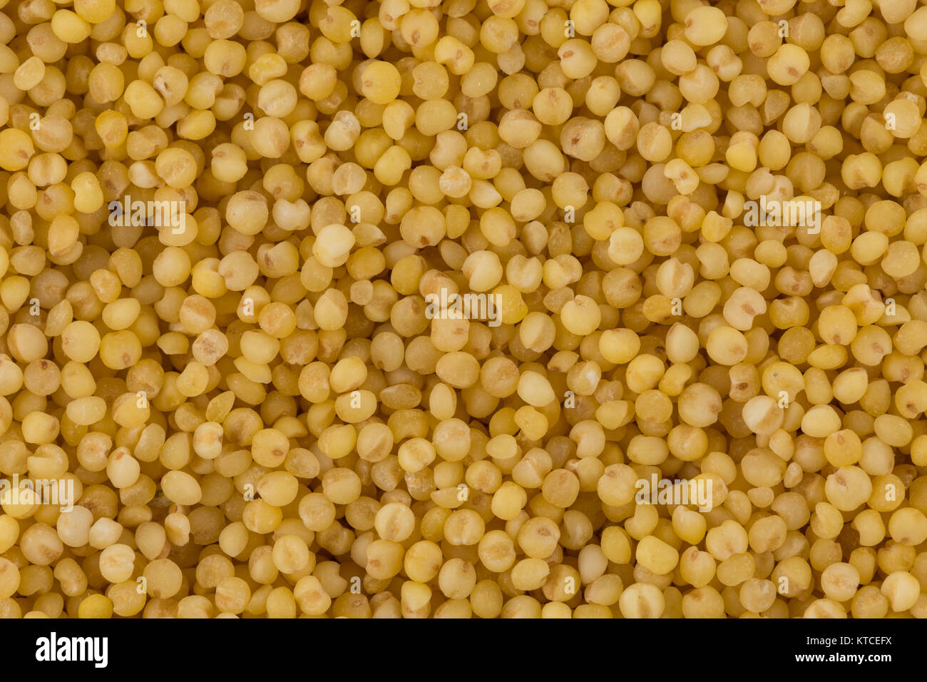 Dry millet closeup Stock Photo - Alamy