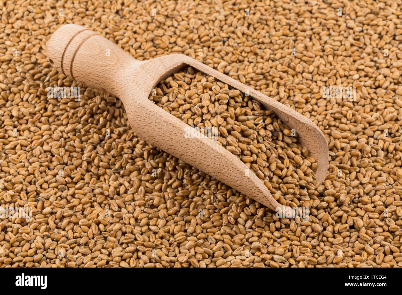 Wheat grain on white Stock Photo - Alamy