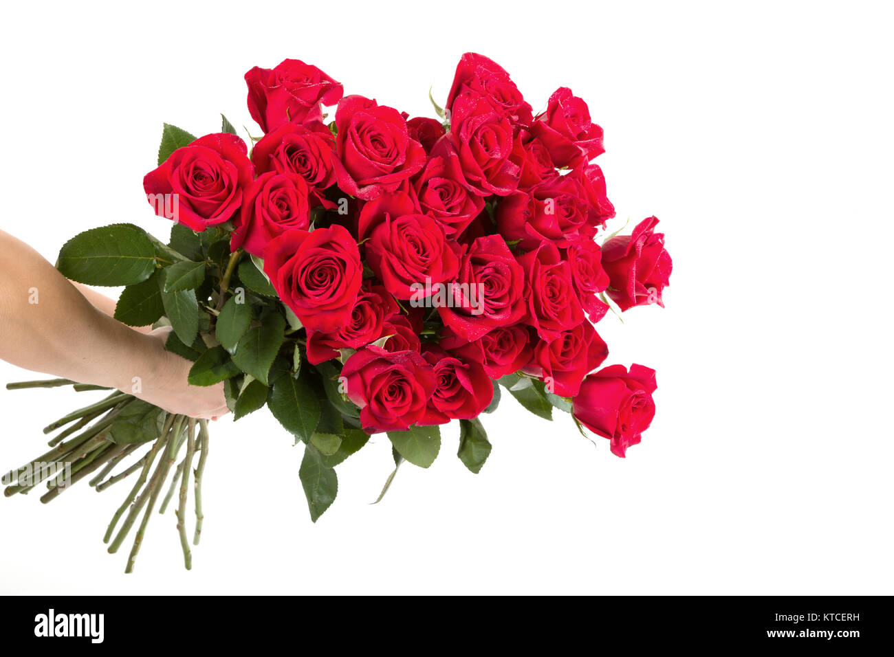 fresh red roses in hand on white background Stock Photo - Alamy