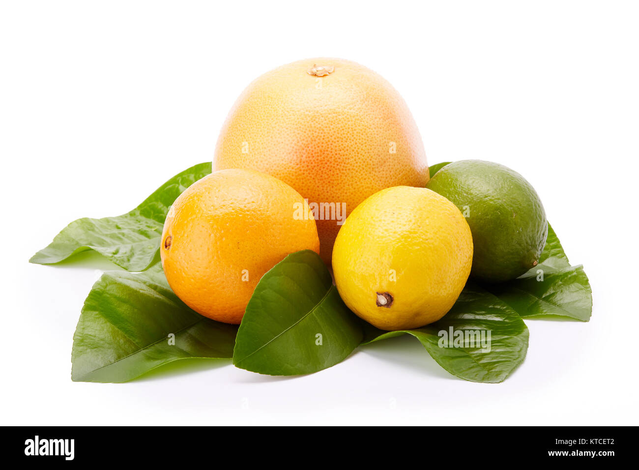 Different ripe citrus fruit Stock Photo - Alamy