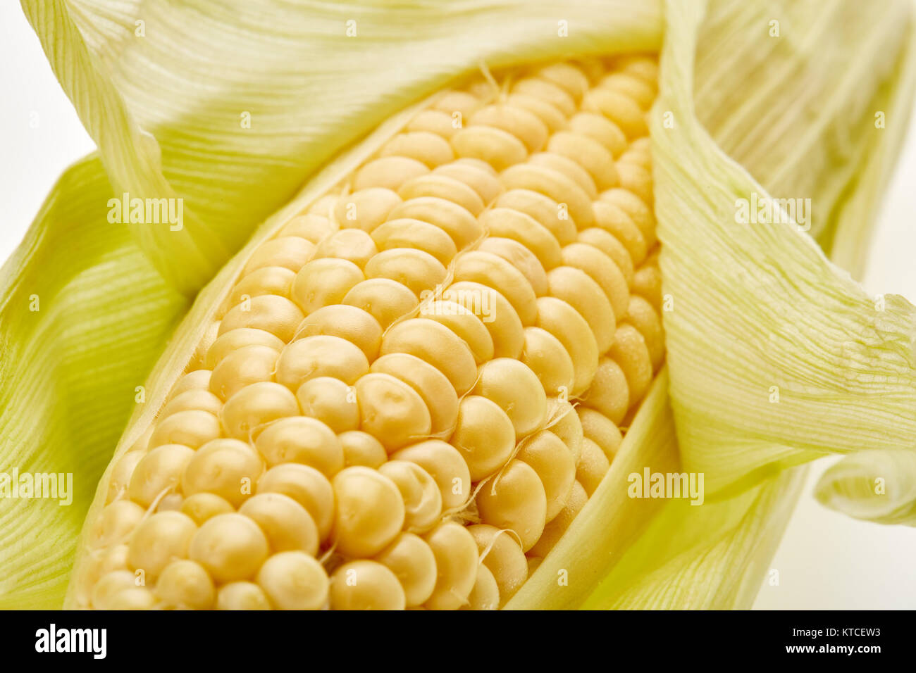 Ripe ear of corn Stock Photo - Alamy