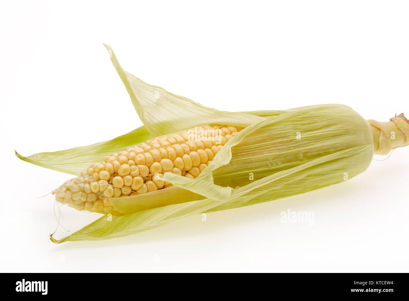 Ripe ear of corn Stock Photo - Alamy