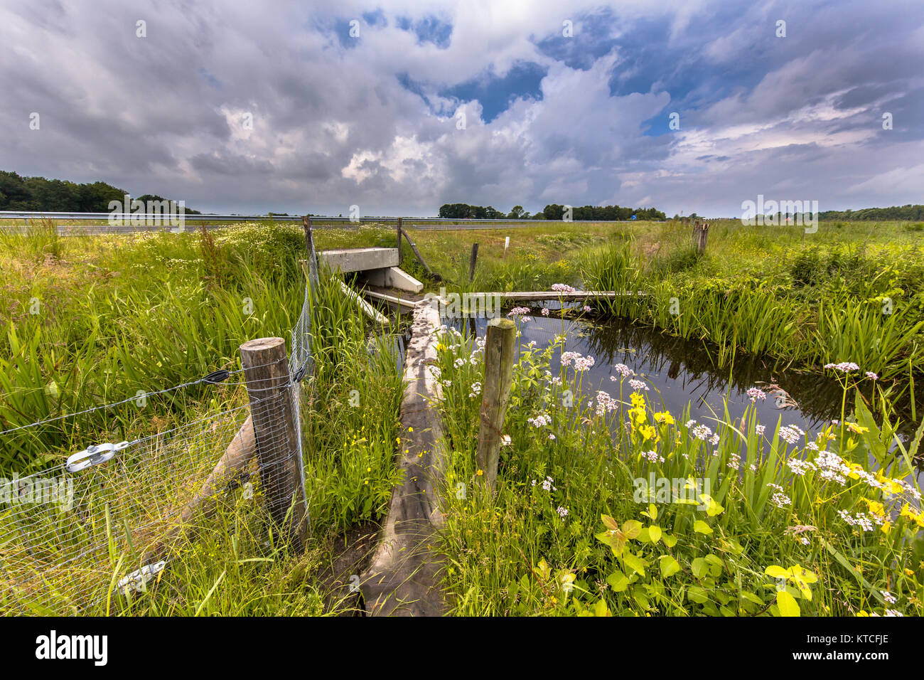 Wildlife river crossing culvert pipe underpass for animals with ...