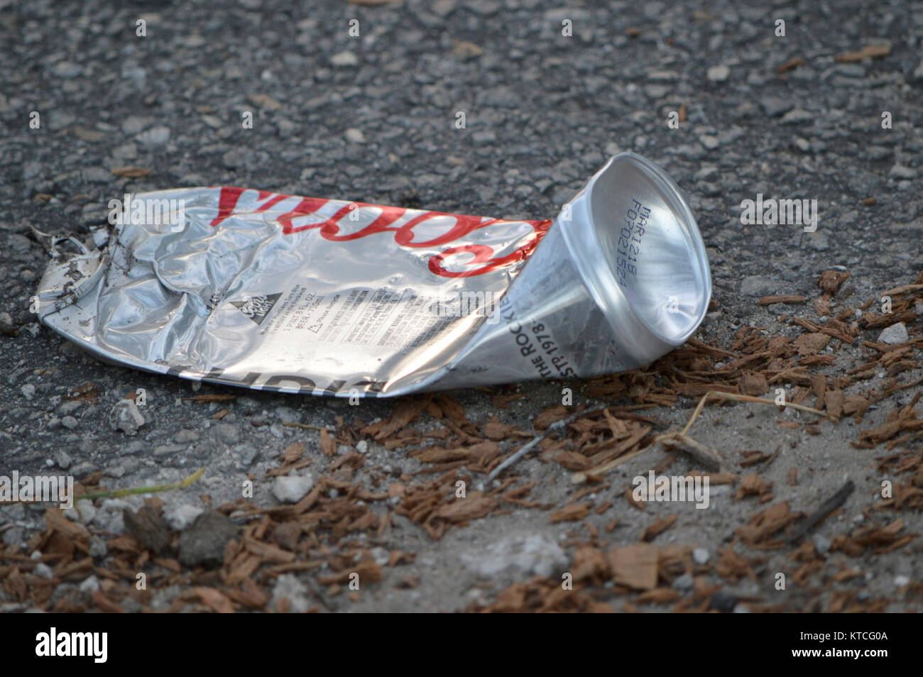 Crushed Budweiser Can Crushed Budweiser Can
