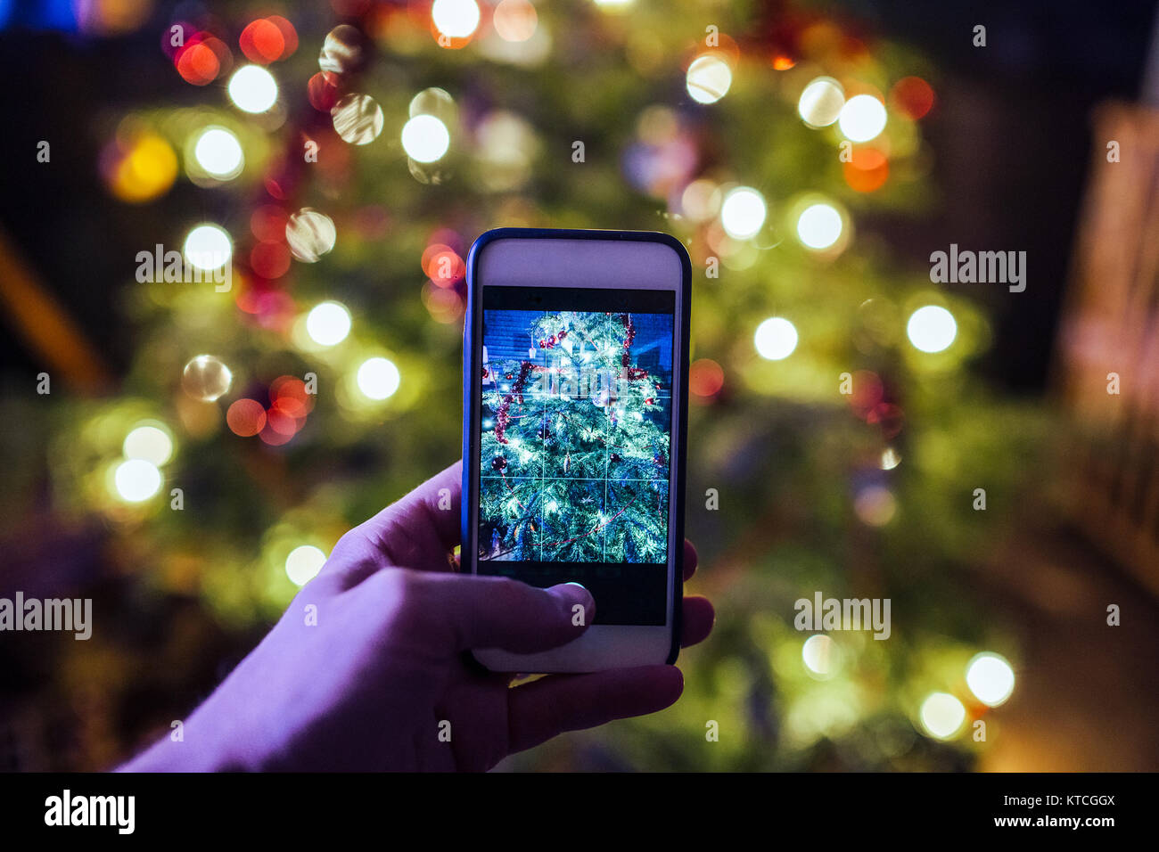 Christmas tree smartphone photo Stock Photo - Alamy