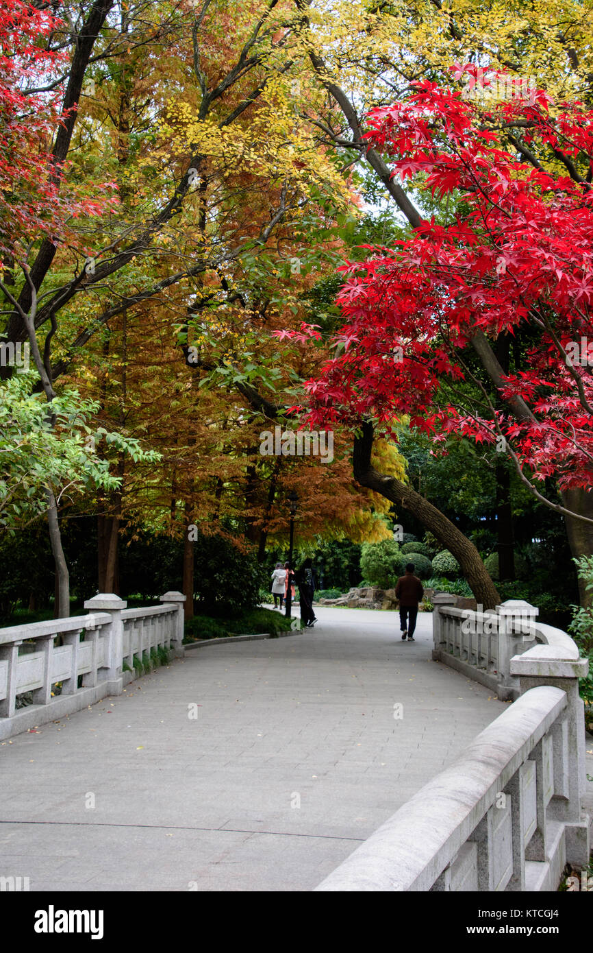 Foliage walk hi-res stock photography and images - Alamy