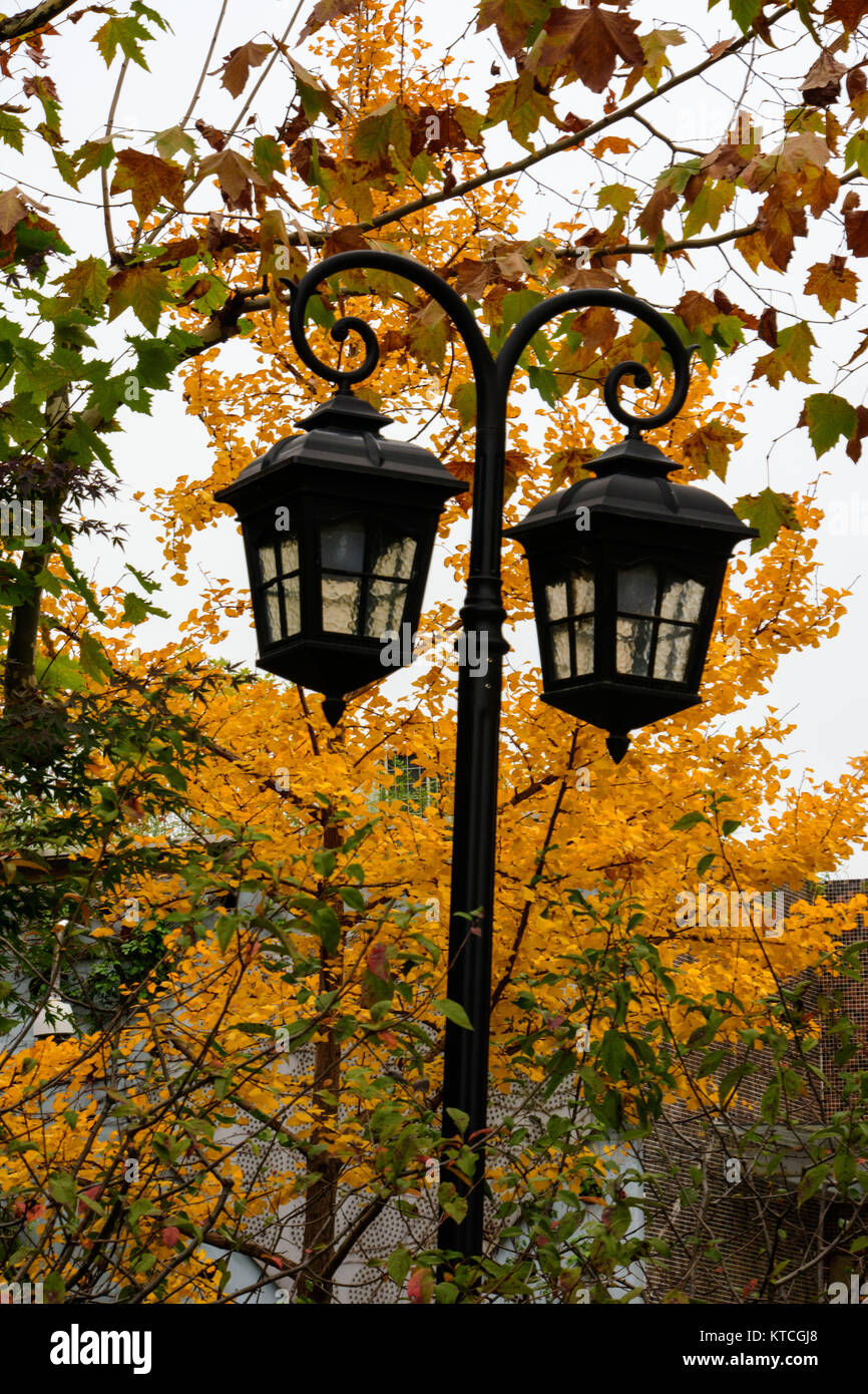 Black steel lamp pole in park with autumn foliage color leaves on trees ...