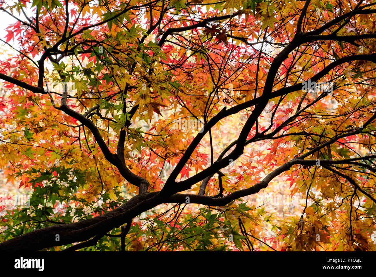 Turning color hi-res stock photography and images - Alamy