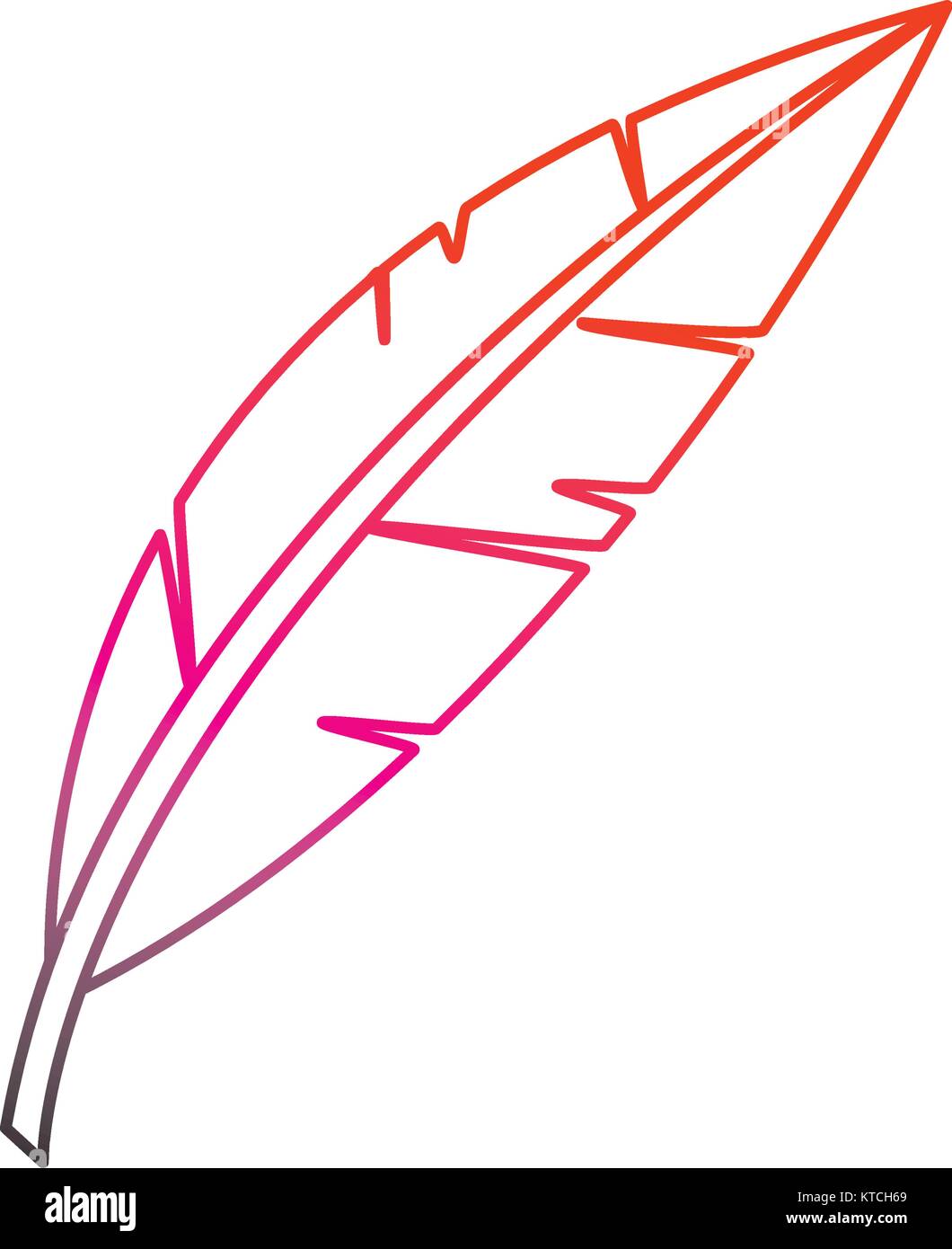 Isolated feather design Stock Vector Image & Art - Alamy