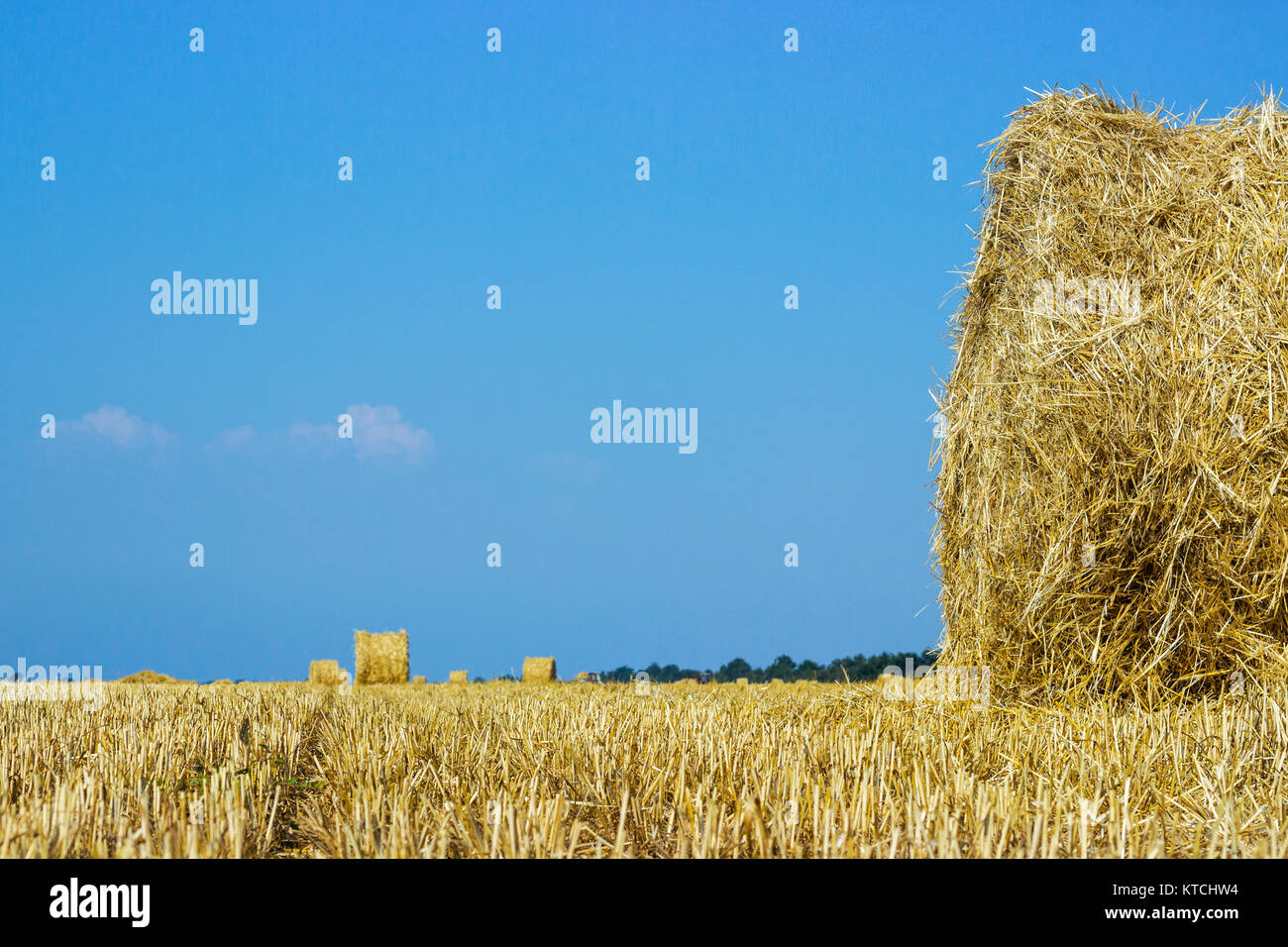 Rural landscapes of Tuscany, Italy, Europe, Rolls of haystacks on the ...