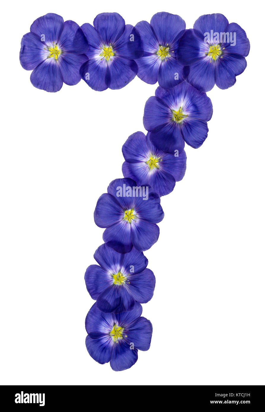 Arabic numeral 7, seven, from blue flowers of flax, isolated on white ...