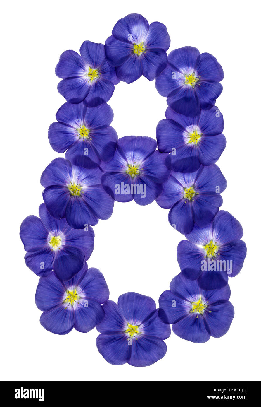 Arabic numeral 8, eight, from blue flowers of flax, isolated on white ...