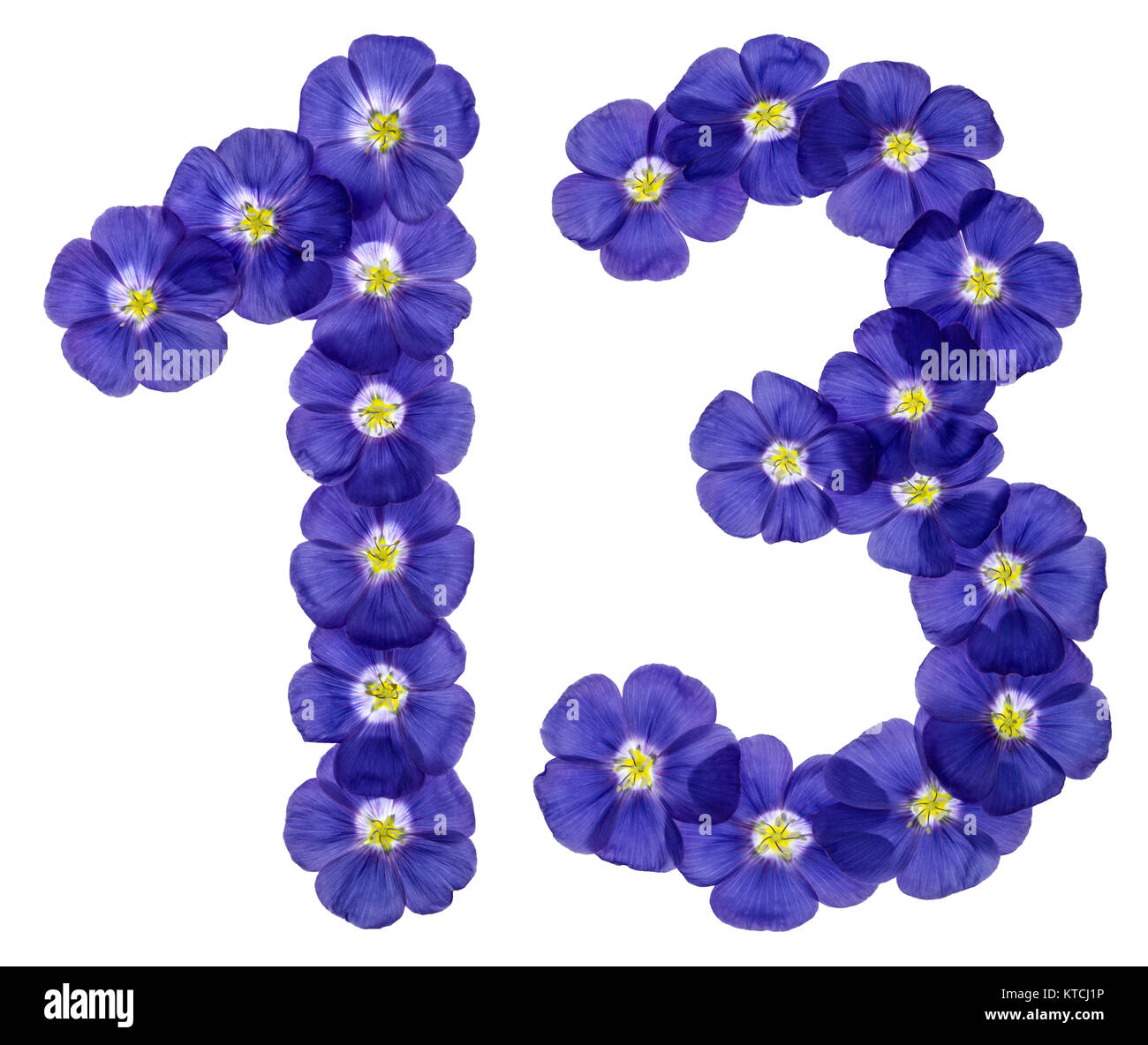 Arabic numeral 13, thirteen, from blue flowers of flax, isolated on ...