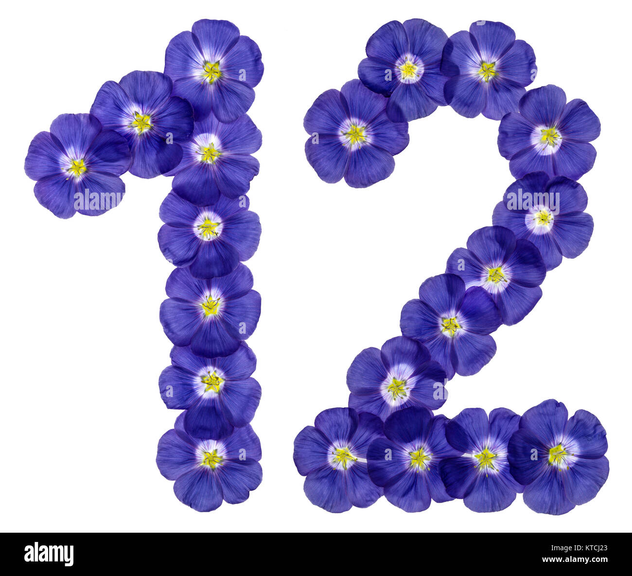 Arabic numeral 12, twelve, from blue flowers of flax, isolated on white ...