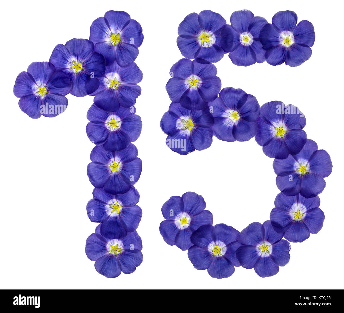 Arabic numeral 15, fifteen, from blue flowers of flax, isolated on ...