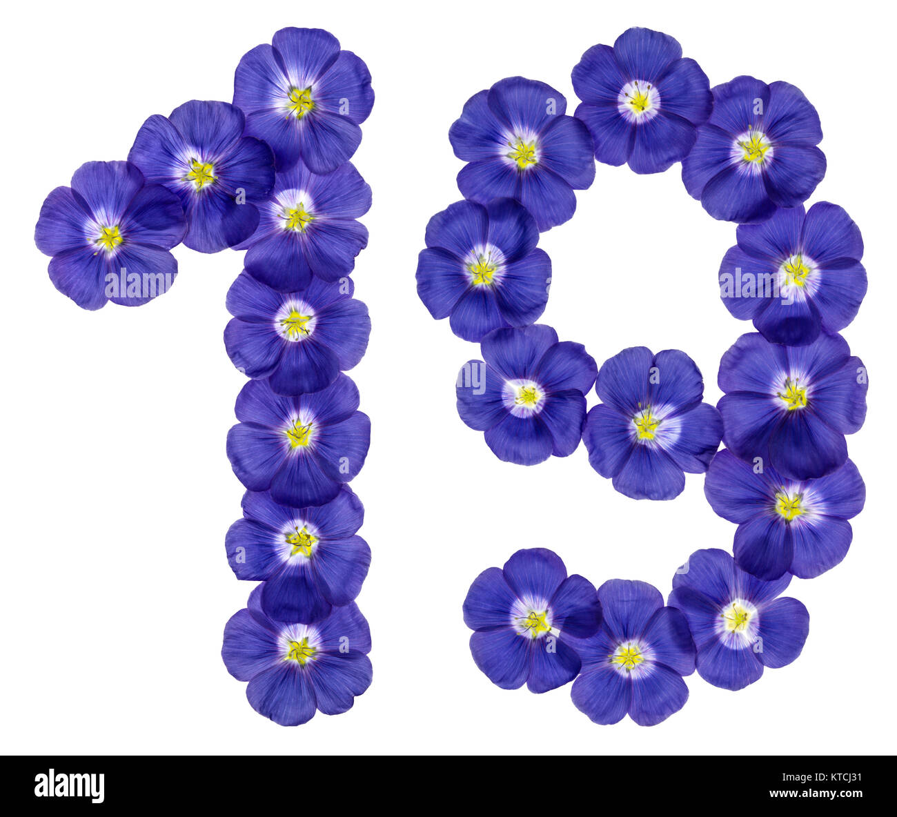 Arabic numeral 19, nineteen, from blue flowers of flax, isolated on ...