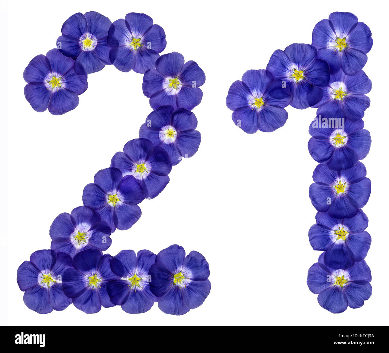 Arabic numeral 21, twenty one, twenty, from blue flowers of flax ... Arabic numeral 21, twenty one, twenty, from blue flowers of flax ...